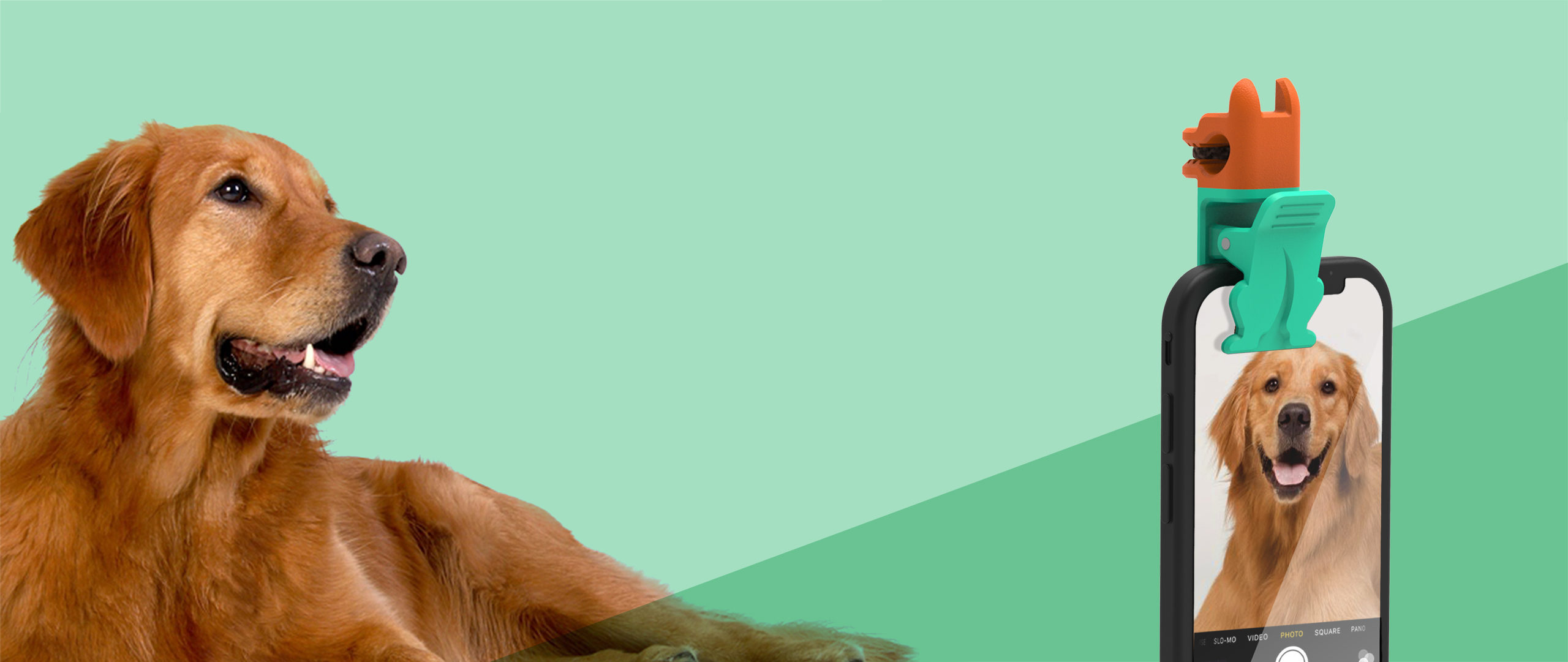 Pooch Selfie Propulsion Design